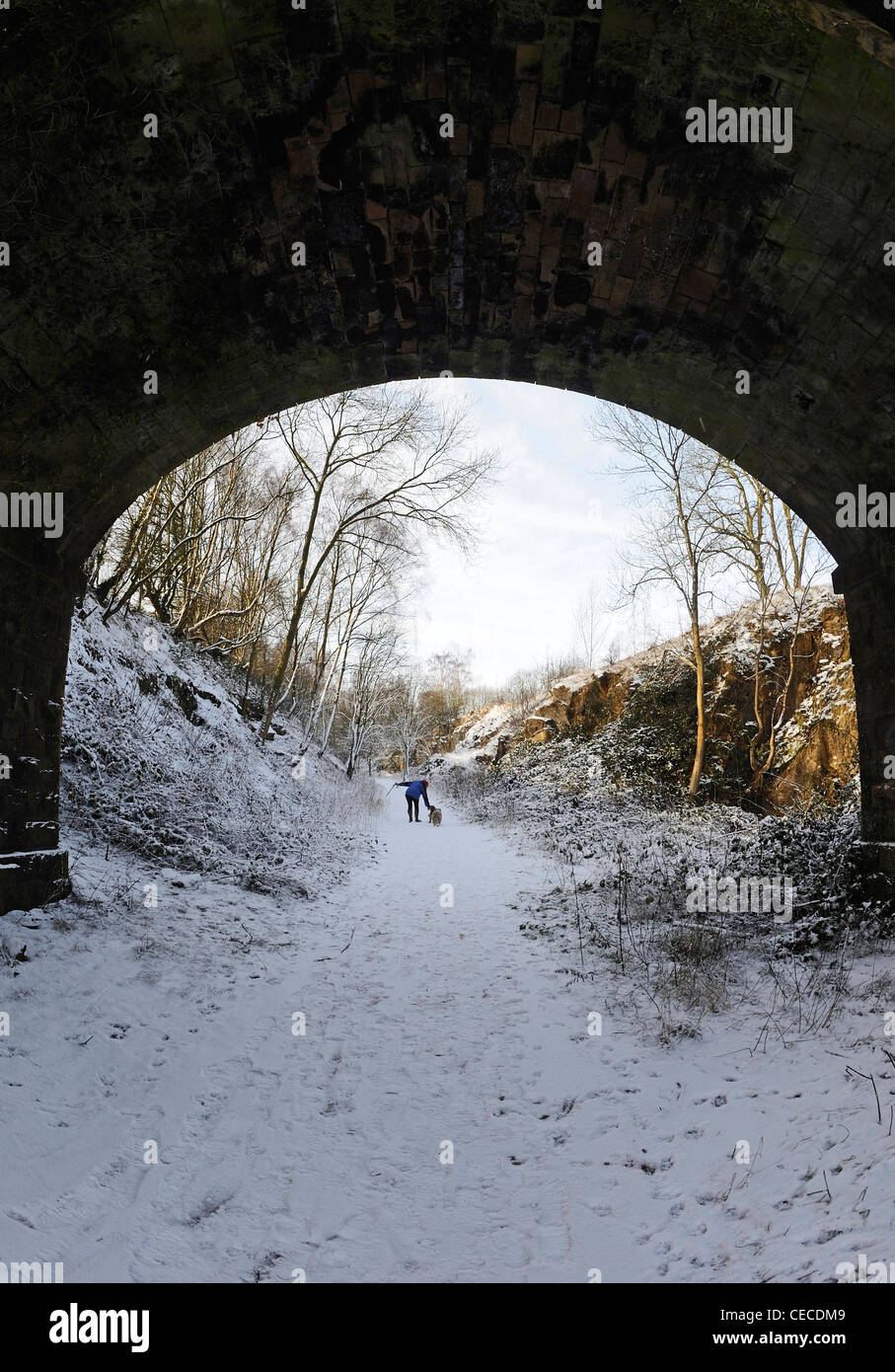 Women walking her two dogs along a footpath under a stone built bridge ...