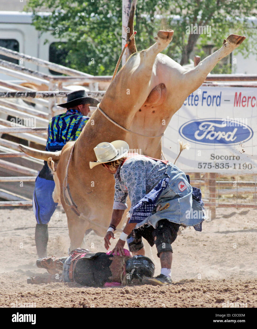 Woman riding on bull hi-res stock photography and images - Alamy