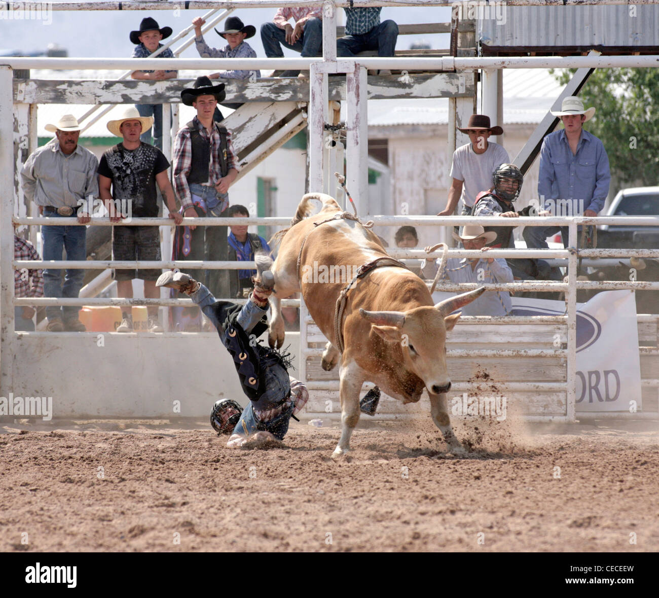 American bull riding hi-res stock photography and images - Alamy