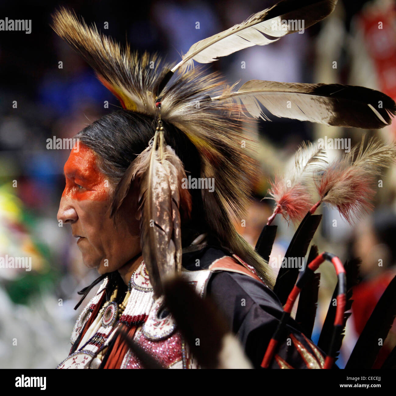 Native American Face Profile
