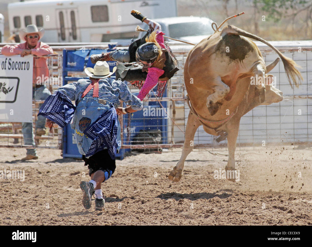 Woman riding bull hi-res stock photography and images - Alamy