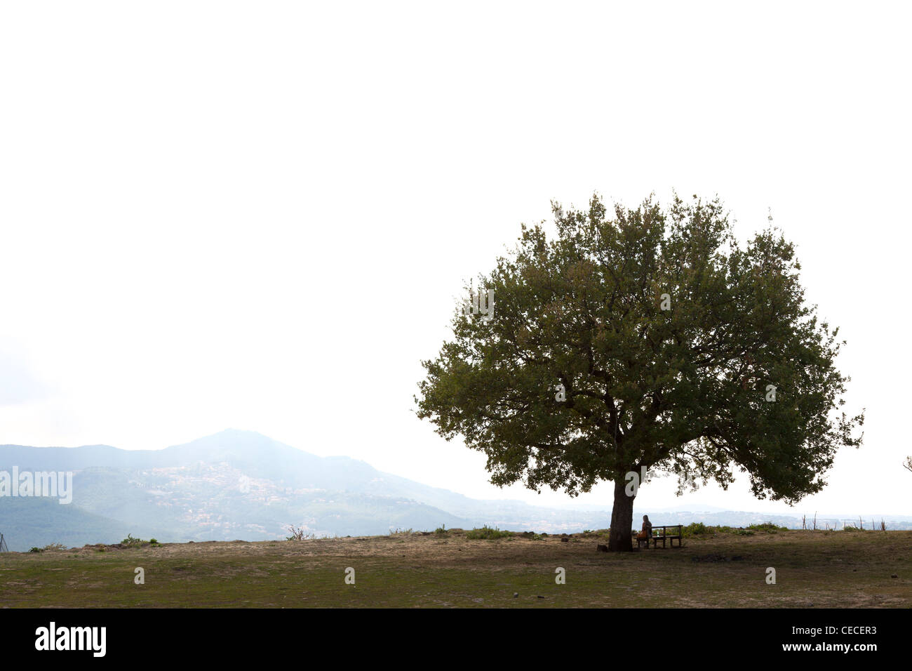 Sat under tree hi-res stock photography and images - Alamy