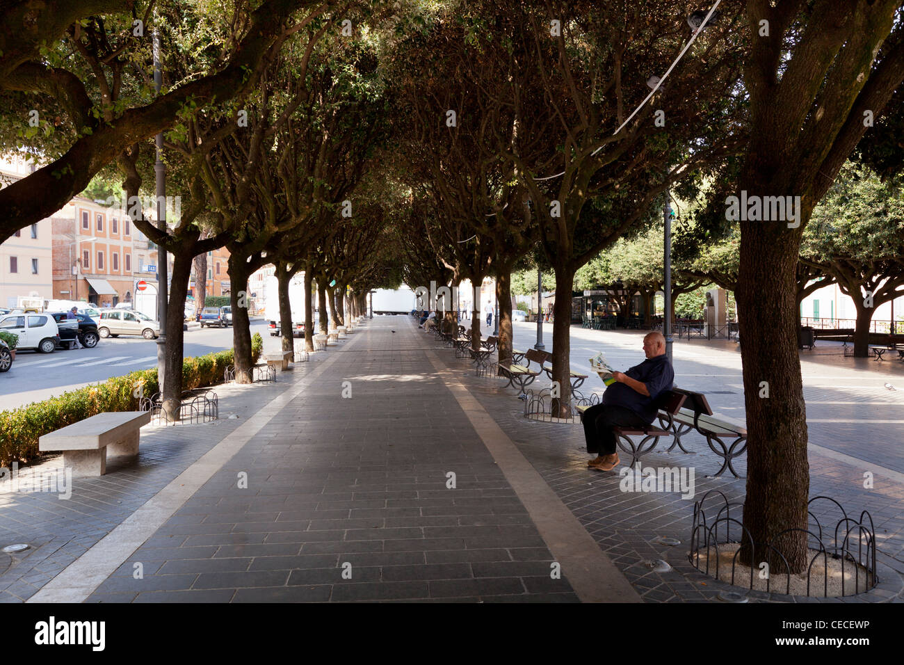 avenue of trees covering path in Monte Compatri in Lazio Italy Stock ...