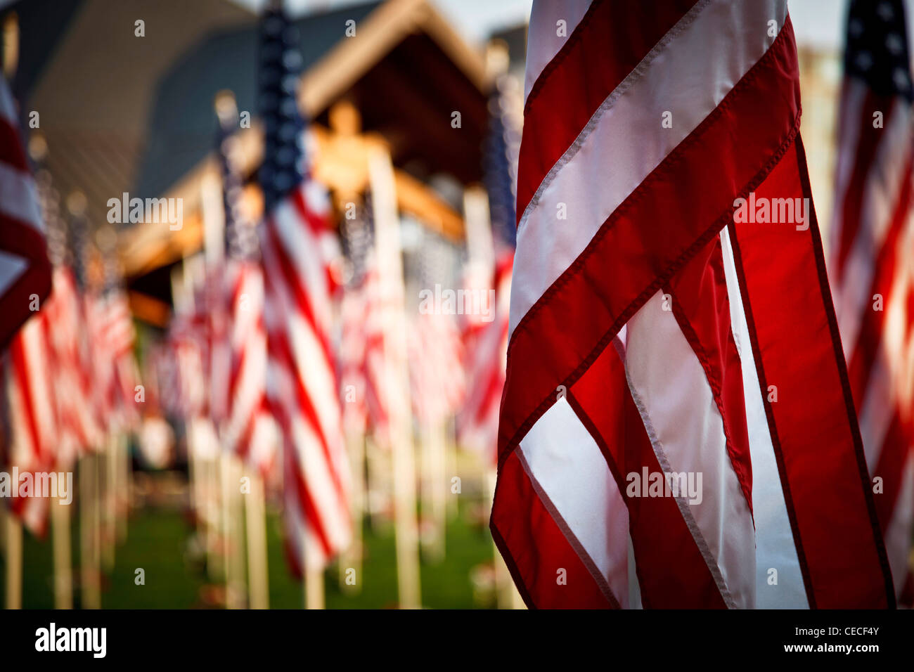 USA, Oregon, Salem, flags out for 10 year anniversary of 9/11 Stock ...