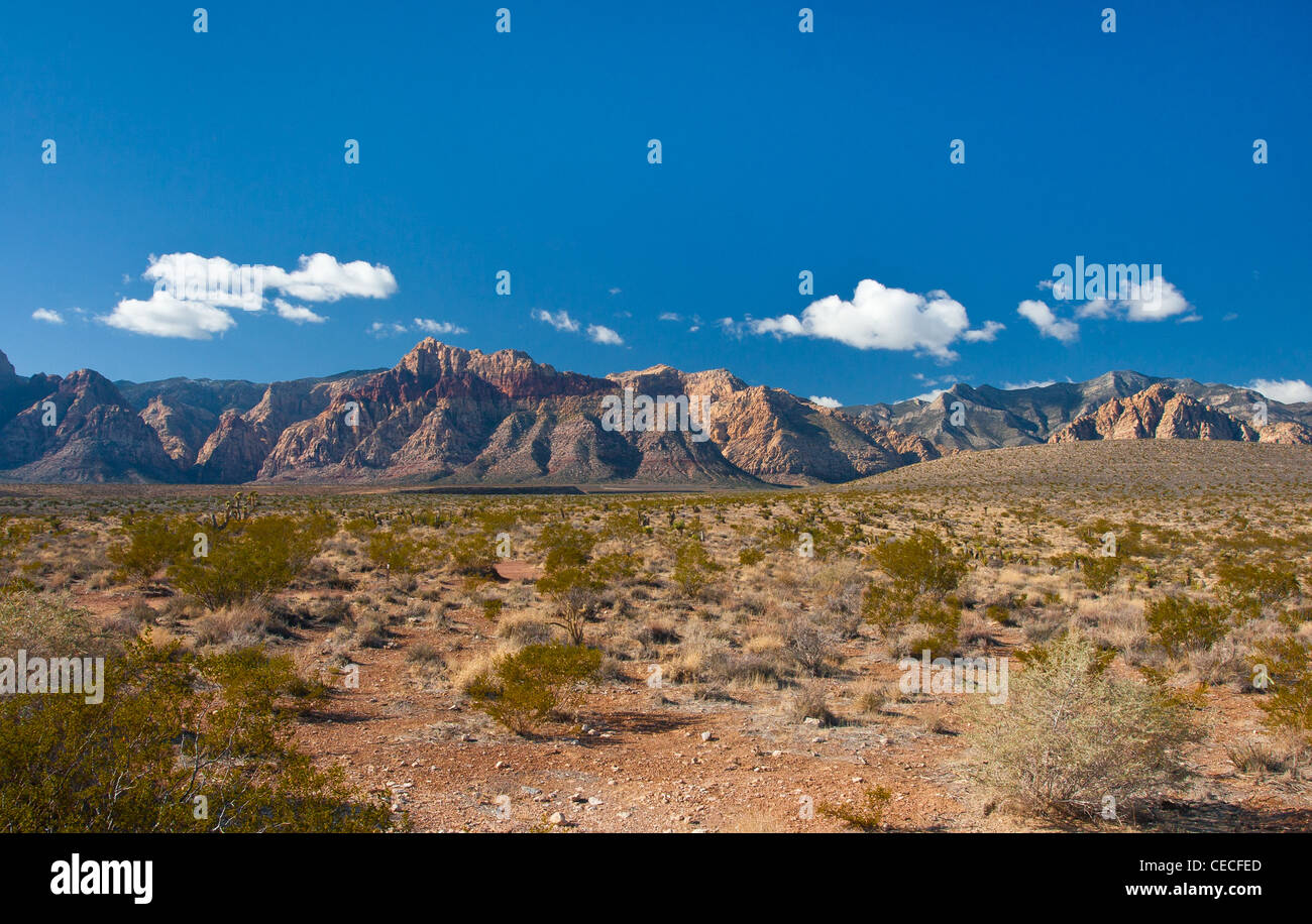 Red Rock Canyon Conservation Area in the Mojave Desert near Las Vegas ...