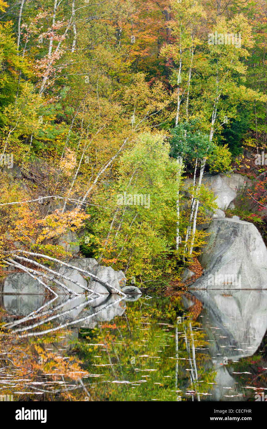 Fall foliage and a pond on Millstone Hill in Barre, Vermont. Abandoned ...