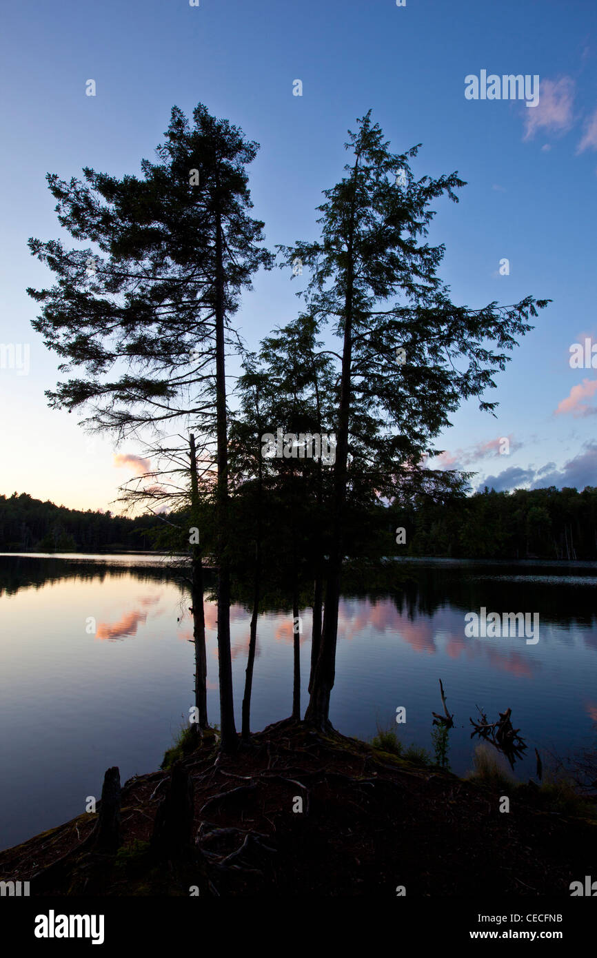 Zack woods pond hi-res stock photography and images - Alamy
