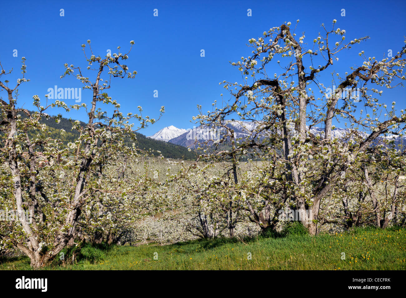 Chelan county hi-res stock photography and images - Alamy