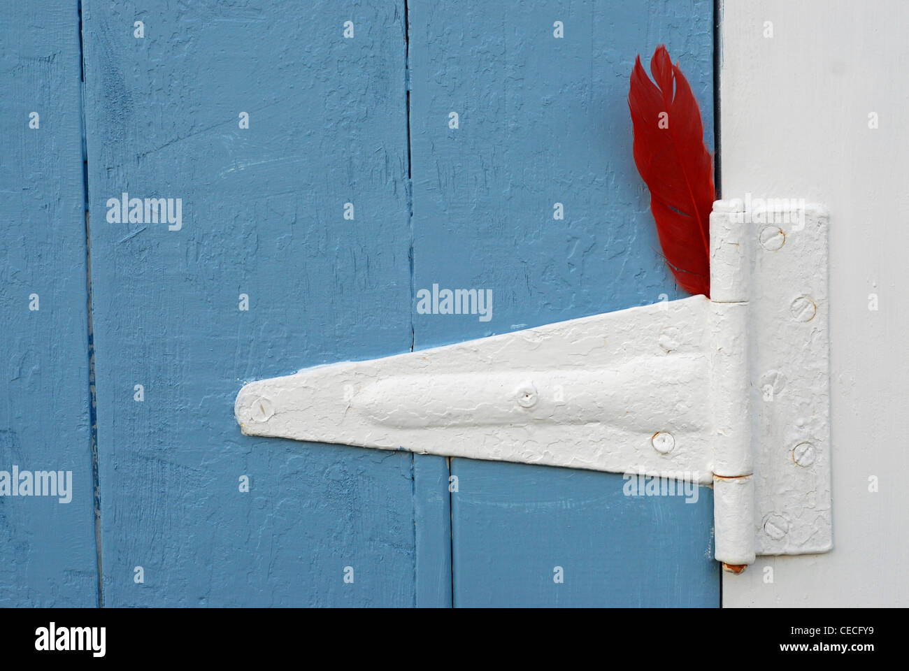 Red feather stuck in the hinge of a blue and white barn door Stock ...