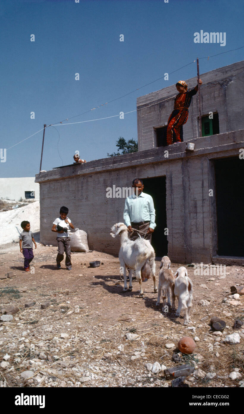 West Bank Israel Palestinian Village Family With Goats Outside House ...