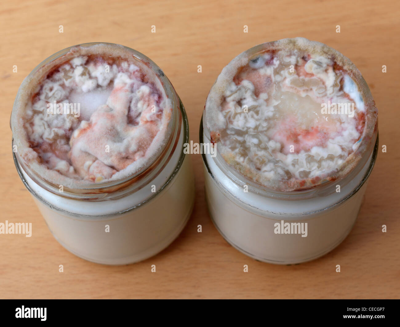 Colourful Mold On Yoghurt Stock Photo - Alamy