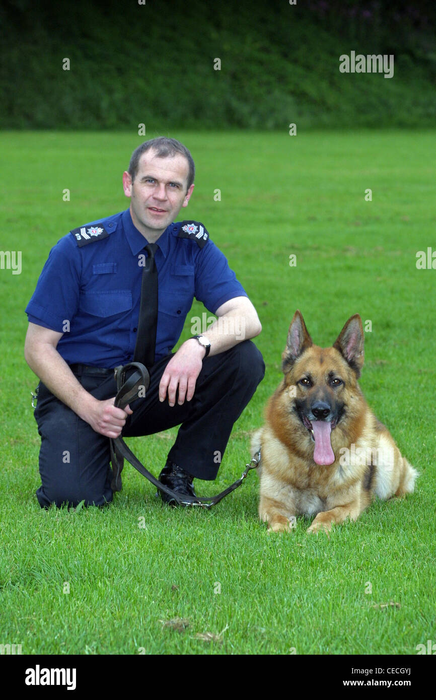 Police dog with handler, UK Stock Photo - Alamy