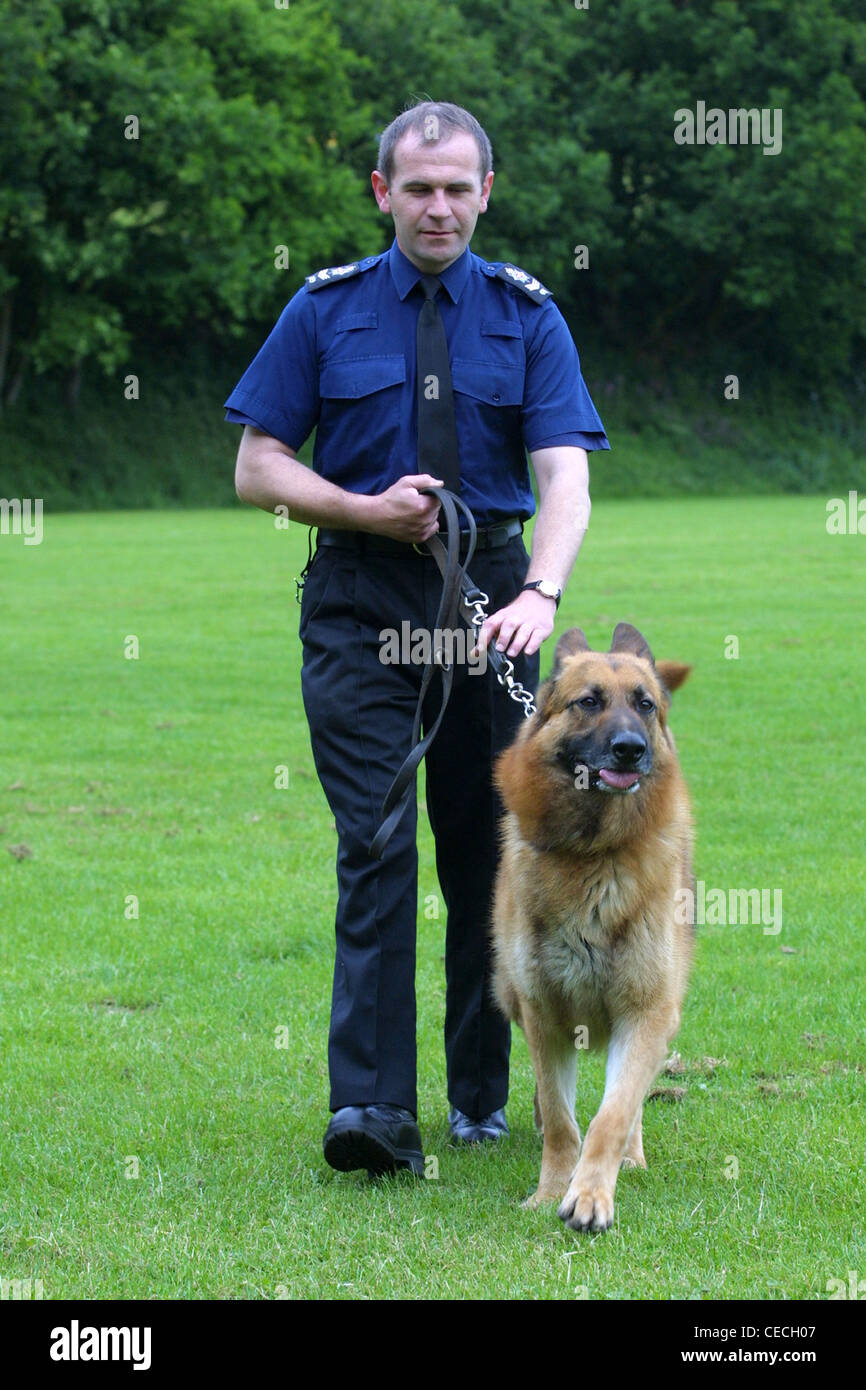 Police dog with handler, UK Stock Photo - Alamy