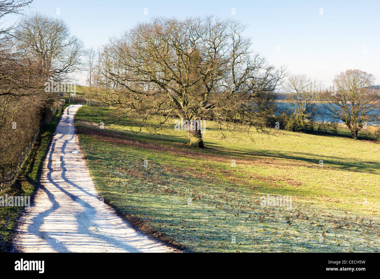 Well marked path through an english country park on a cold, sunny ...