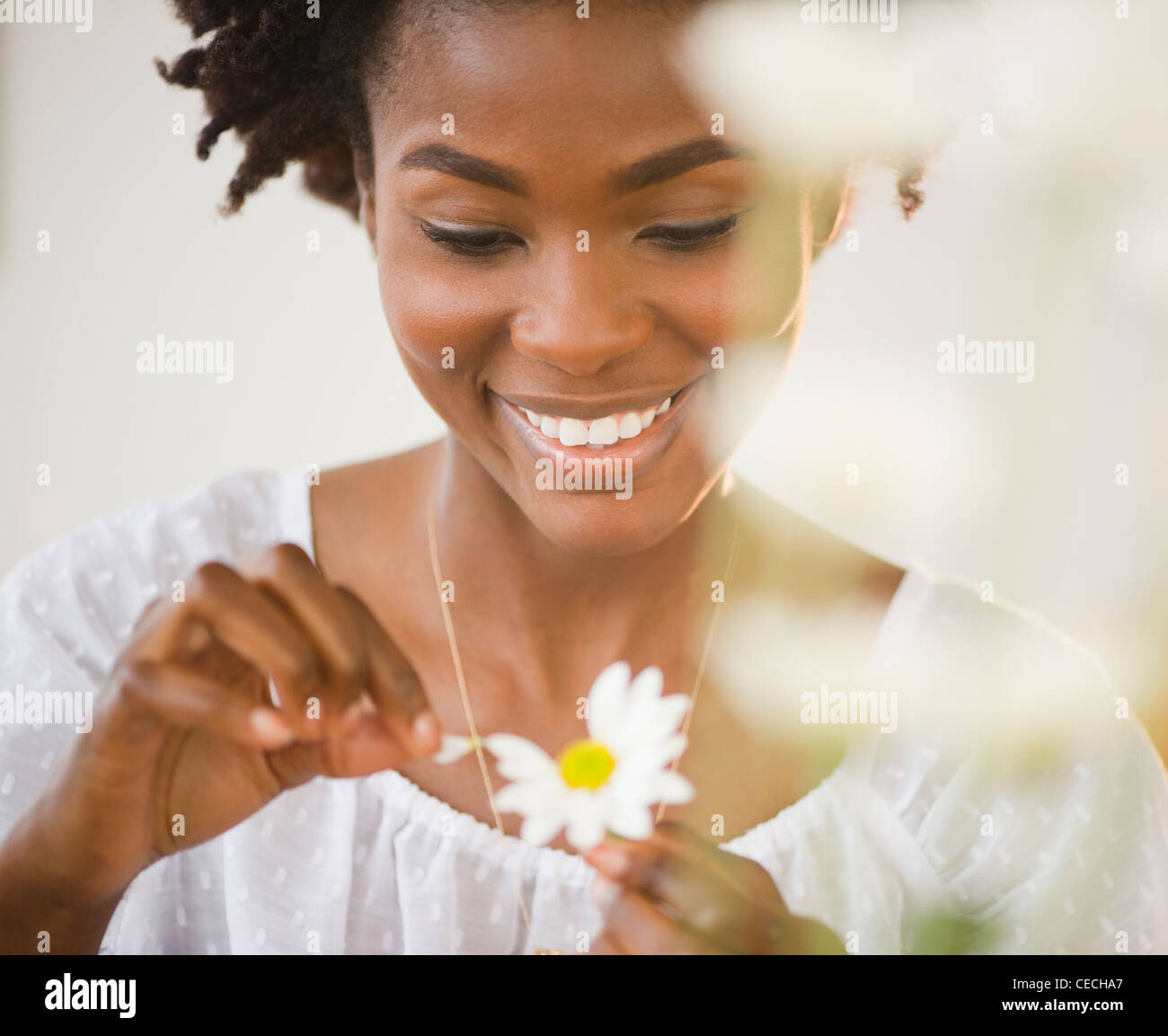 Black woman plucking petals from daisy Stock Photo - Alamy