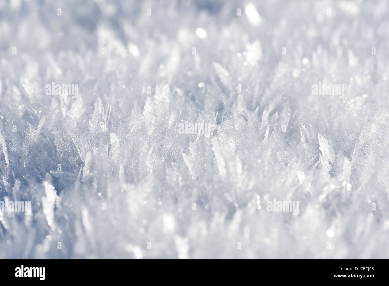 White fluffy snow in close up Stock Photo - Alamy