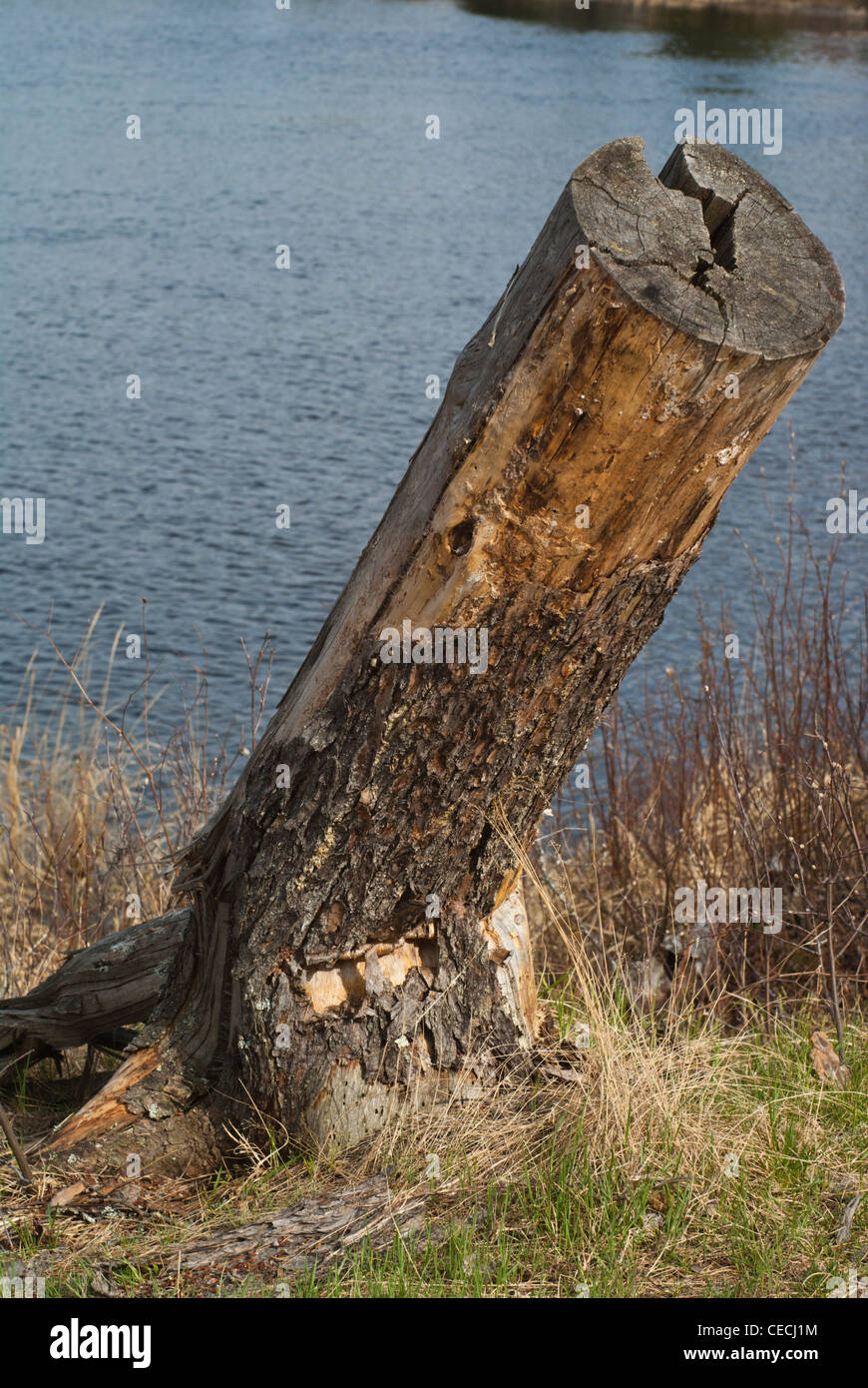 Whiteshell provincial park hiking hi-res stock photography and images ...
