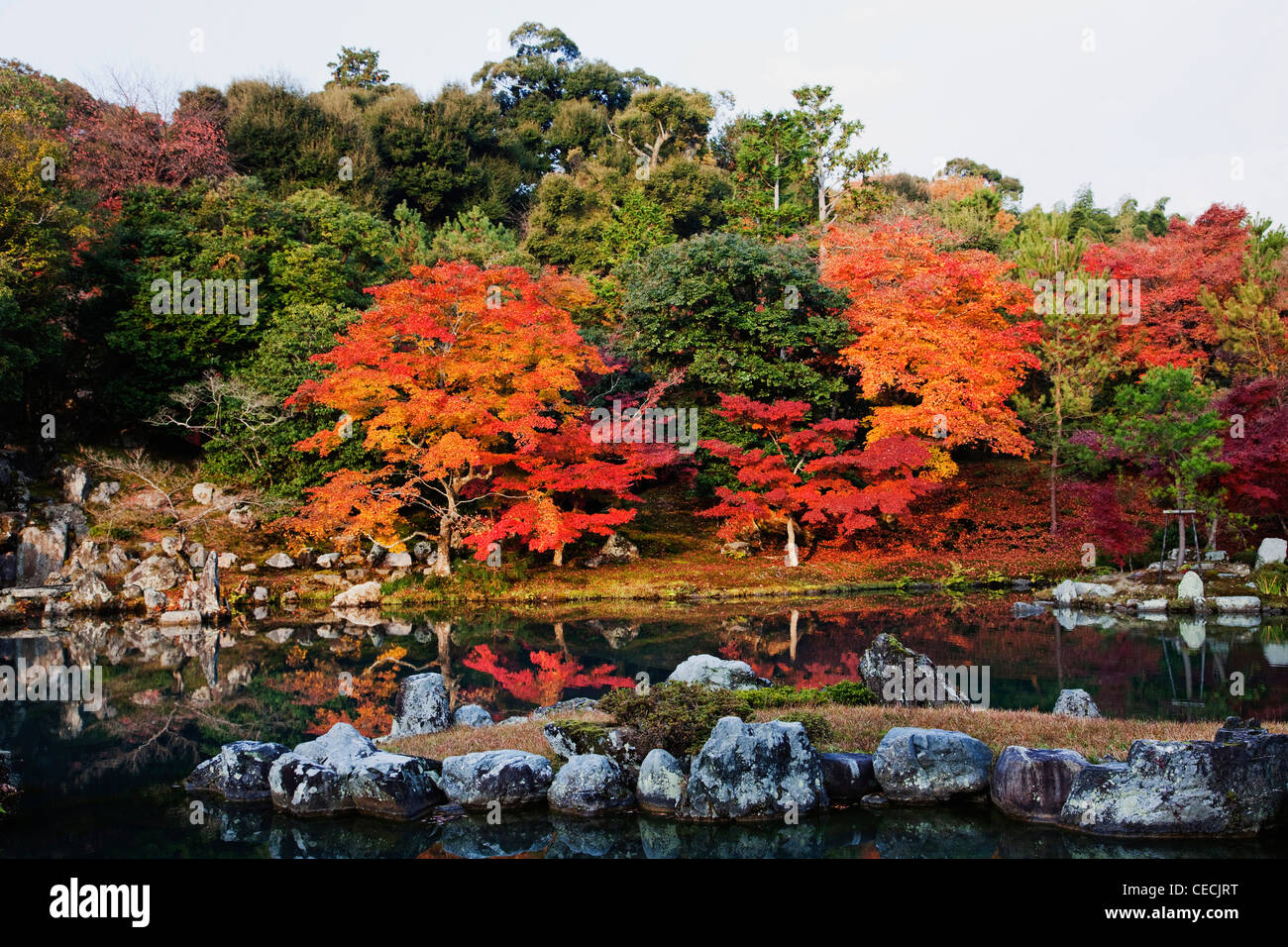Arashiyama,Tenryuji Temple, Autumn Leaves in the Landscape Garden ...