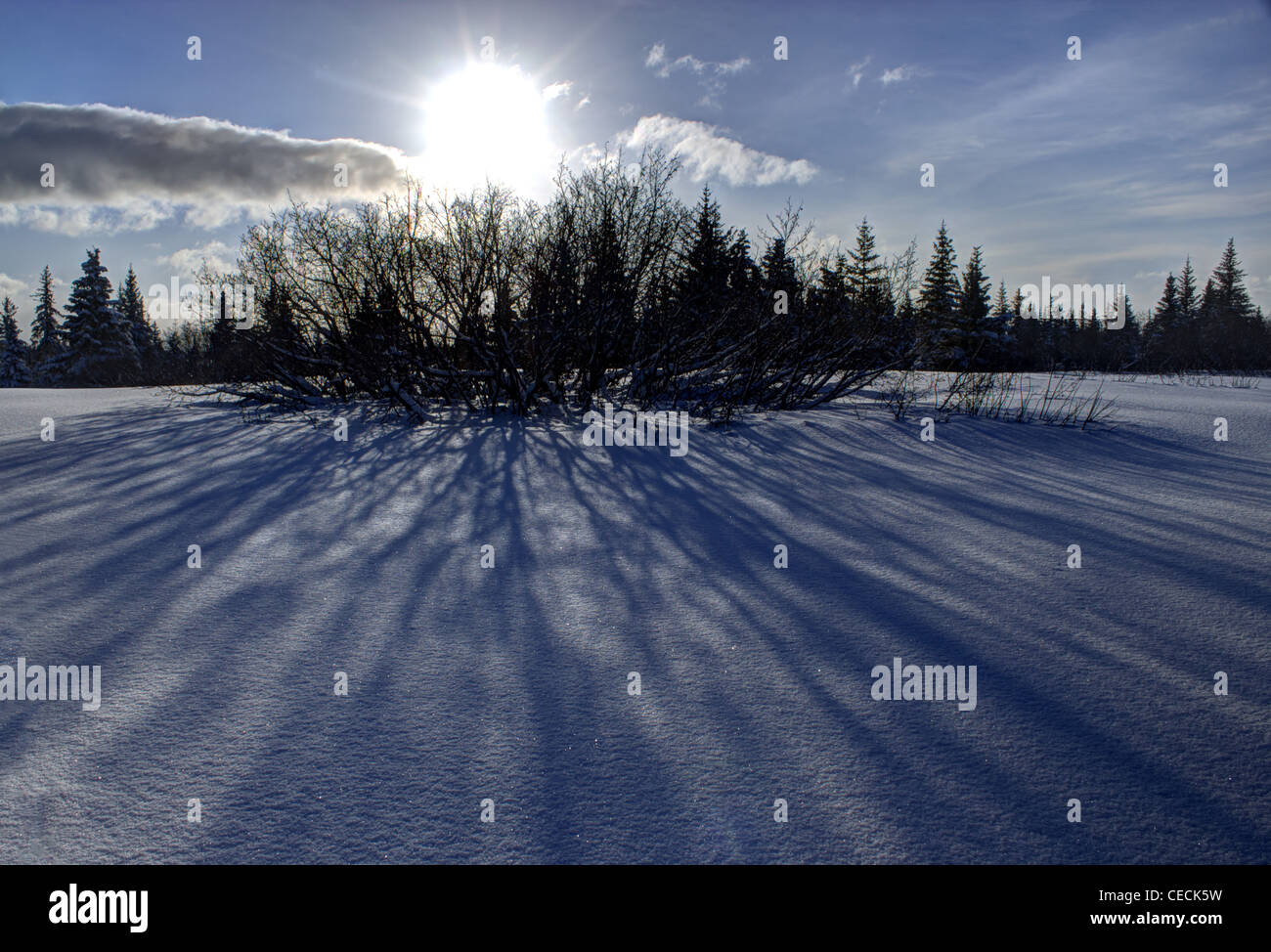 Dramatic winter scene with the sun emerging from the clouds and long ...