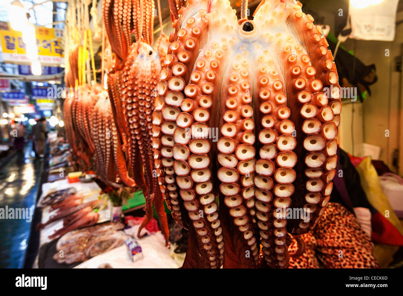 Octopuses at Gyeongju Market, Korea Stock Photo - Alamy