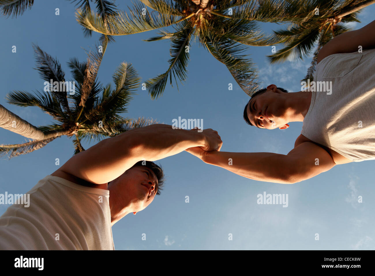 two men shaking hands with blue sky and palm trees in background Stock ...