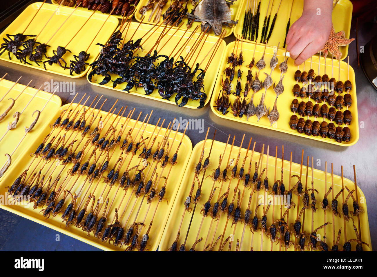 China,Beijing,Wangfujing Street,Snack Street Market selling Insects and ...