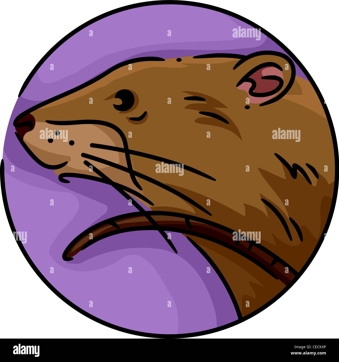Illustration Representing the Year of the Rat Stock Photo - Alamy