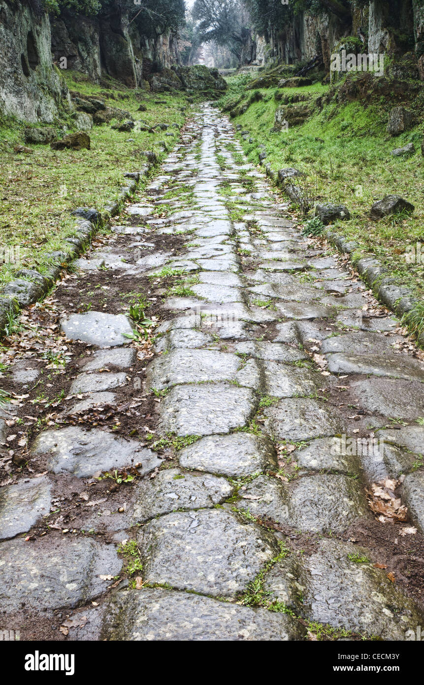 The remains of the ancient Via Amerina, near Civita Castellana, central ...
