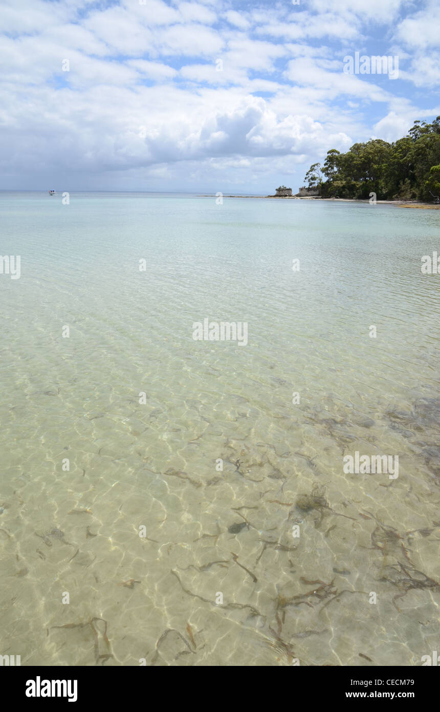 Pristine water at Jervis Bay, New South Wales, Australia Stock Photo ...