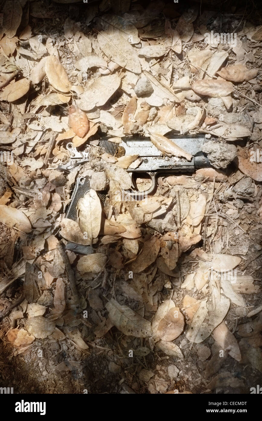 Abandoned gun in the leaves Stock Photo - Alamy