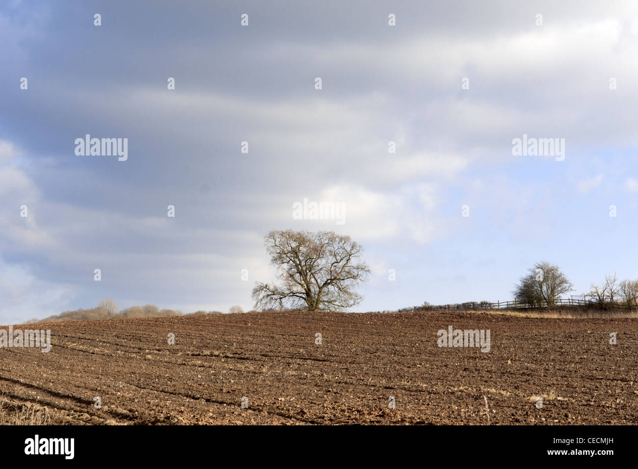 Ploughed field deep furrows hi-res stock photography and images - Alamy