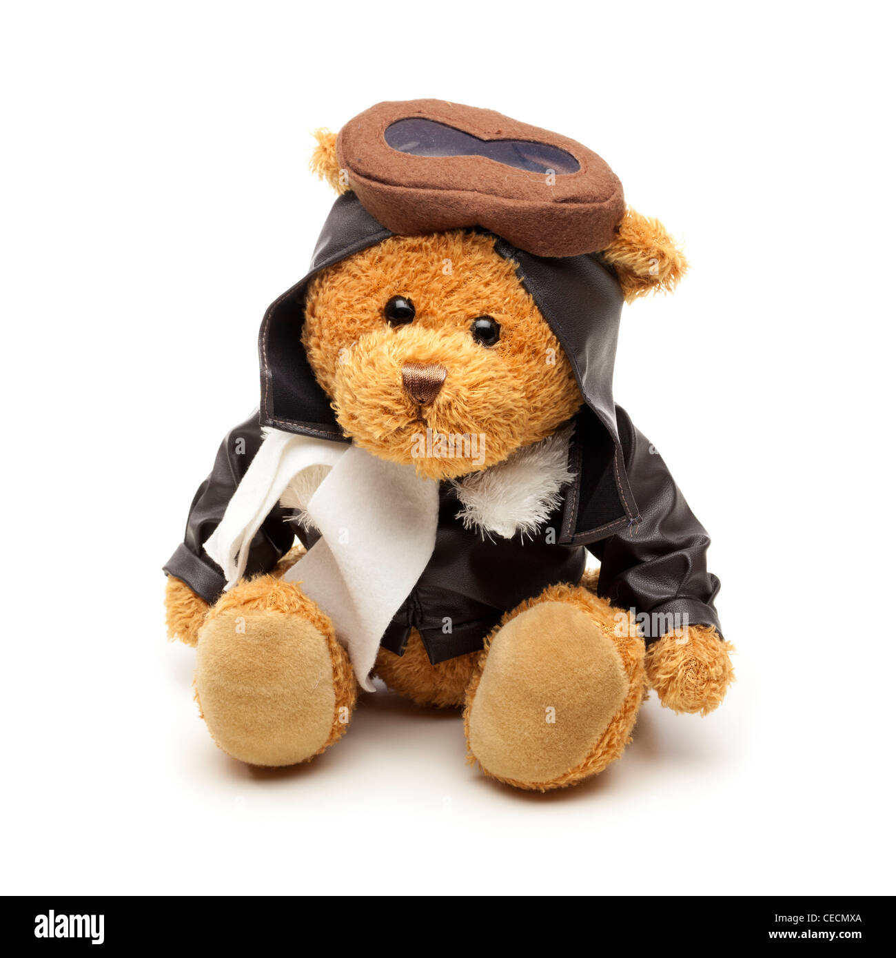 Teddy bear dressed as a pilot on white background Stock Photo - Alamy