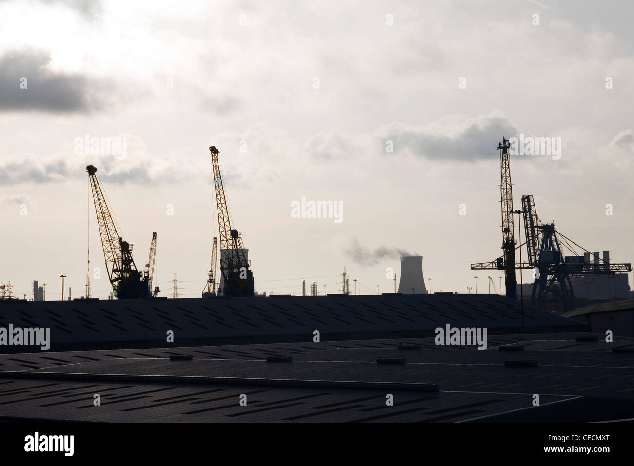 Cranes at Hull Port Stock Photo - Alamy