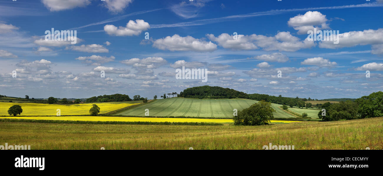 View across east Leicestershire rural countryside Stock Photo - Alamy