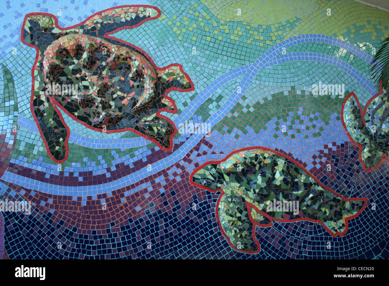 Turtle Mosaic Mural In Tortuguero Village - Translates as 'Land of ...
