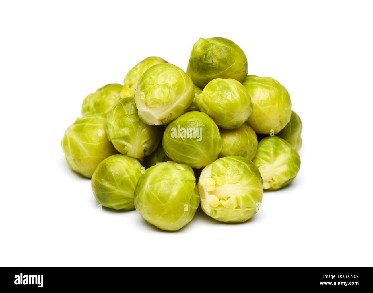 Brussel sprouts cooked on white background Stock Photo - Alamy