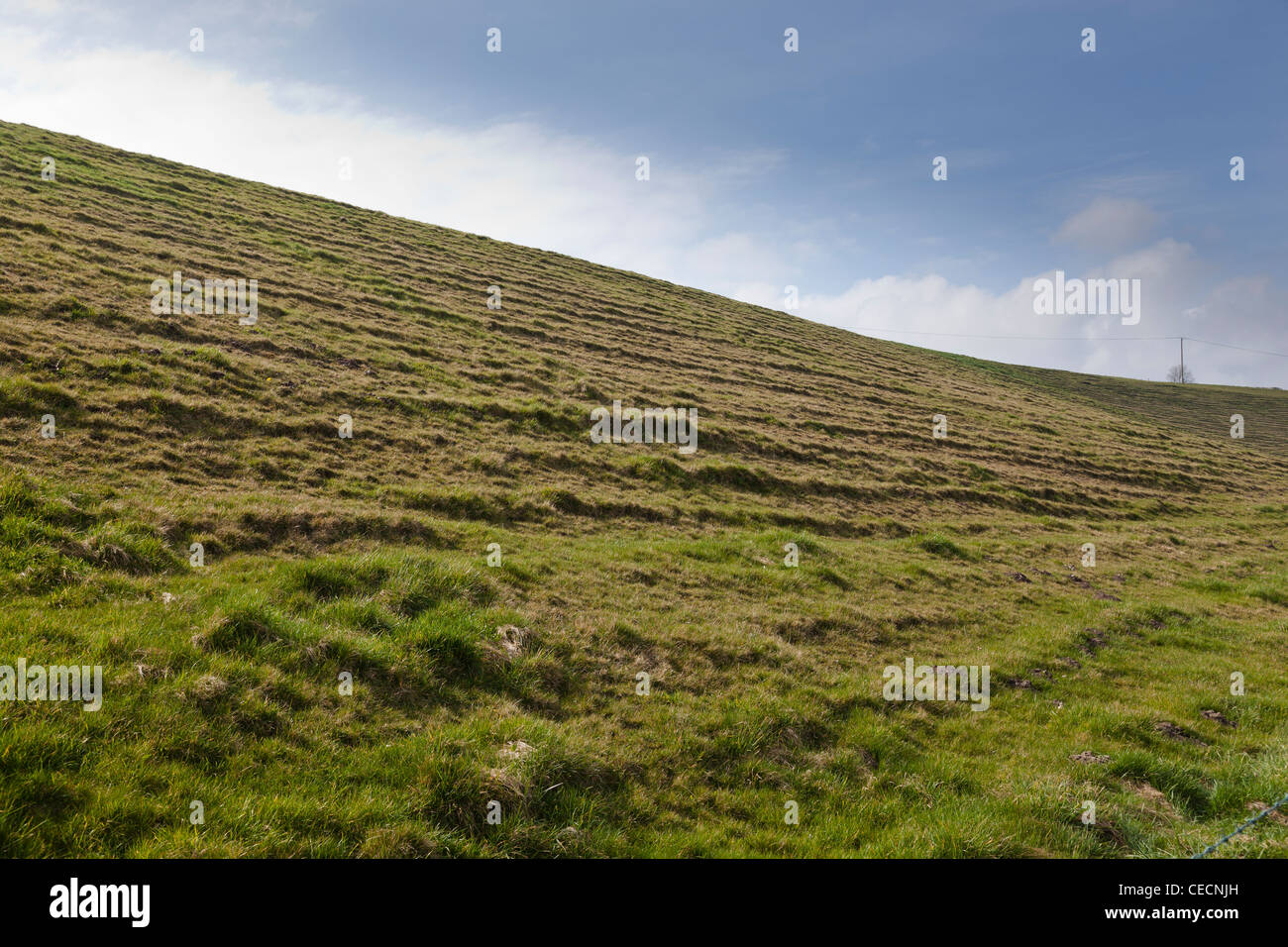 Solifluction Definition Geography