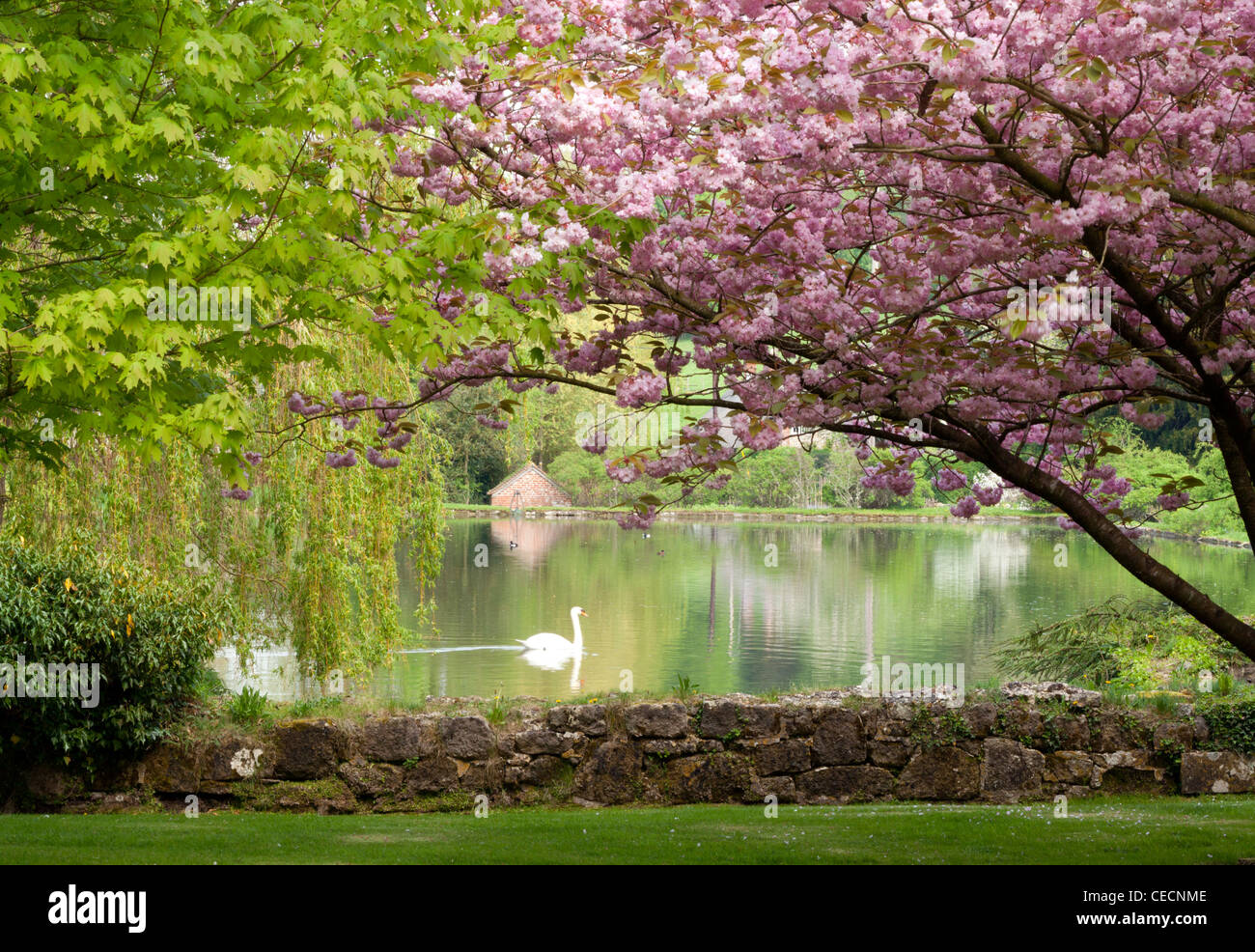 Ansty High Resolution Stock Photography and Images - Alamy