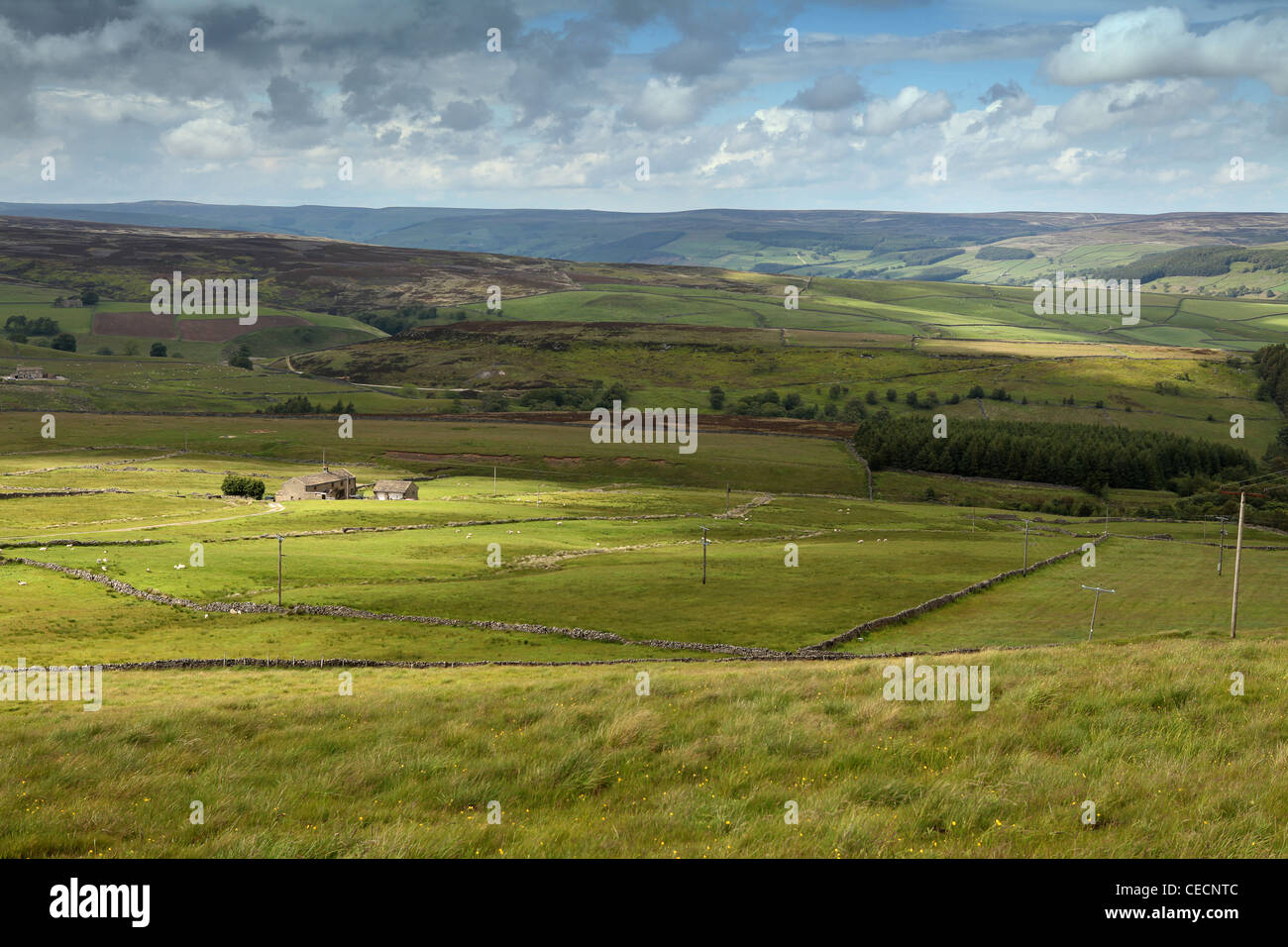 Elevated view across a windswept Nidderdale, Yorkshire Dales, UK Stock ...