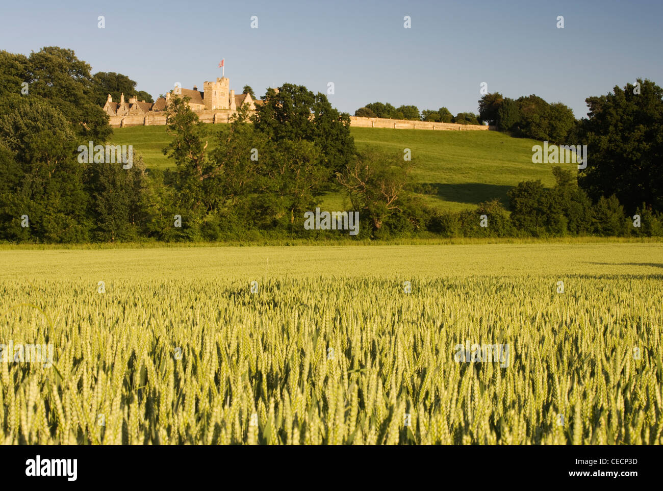 The back view of Rockingham Castle across fields of wheat Stock Photo ...
