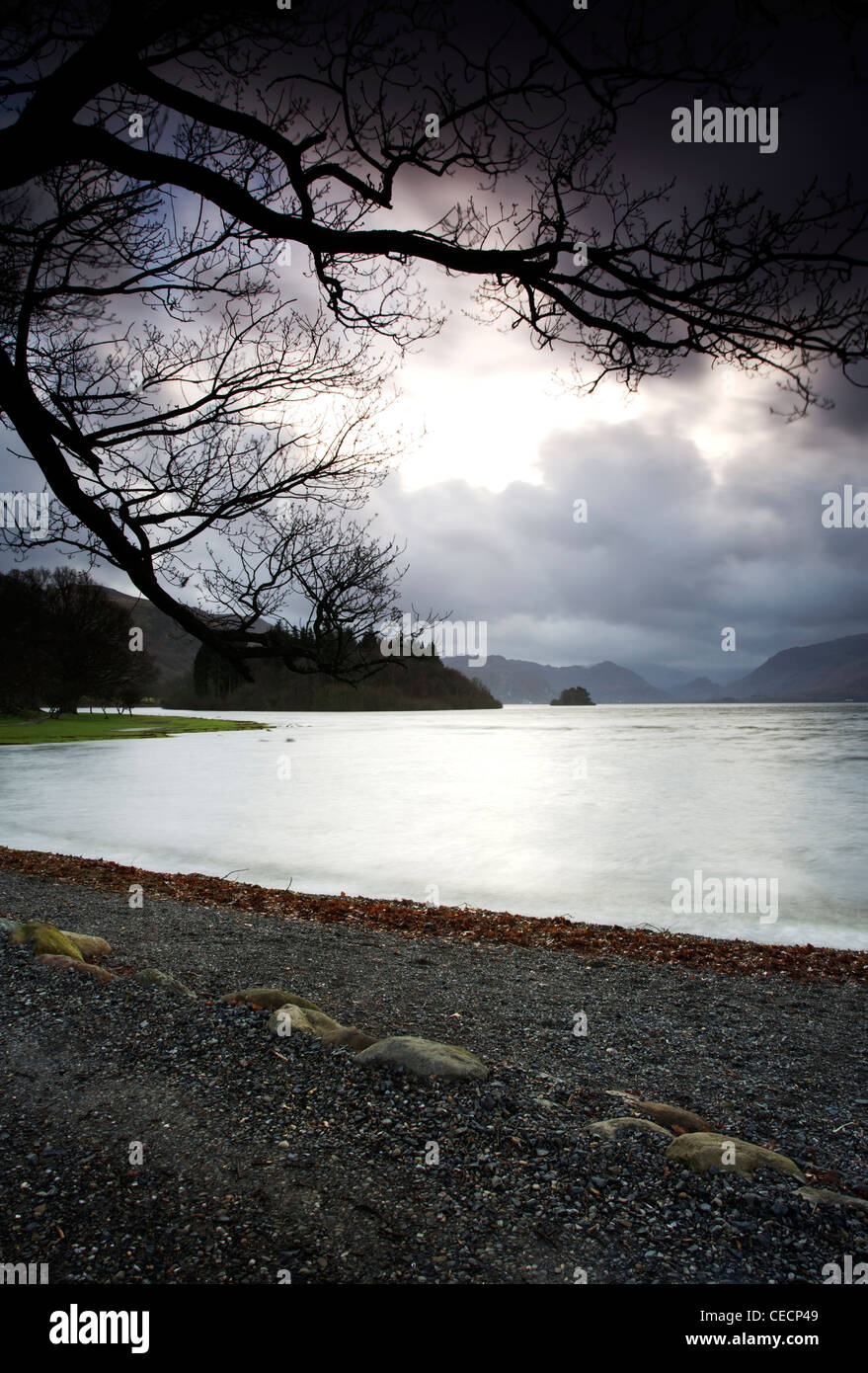 View along the shingle beach at Derwent Water. The branches of a nearby ...