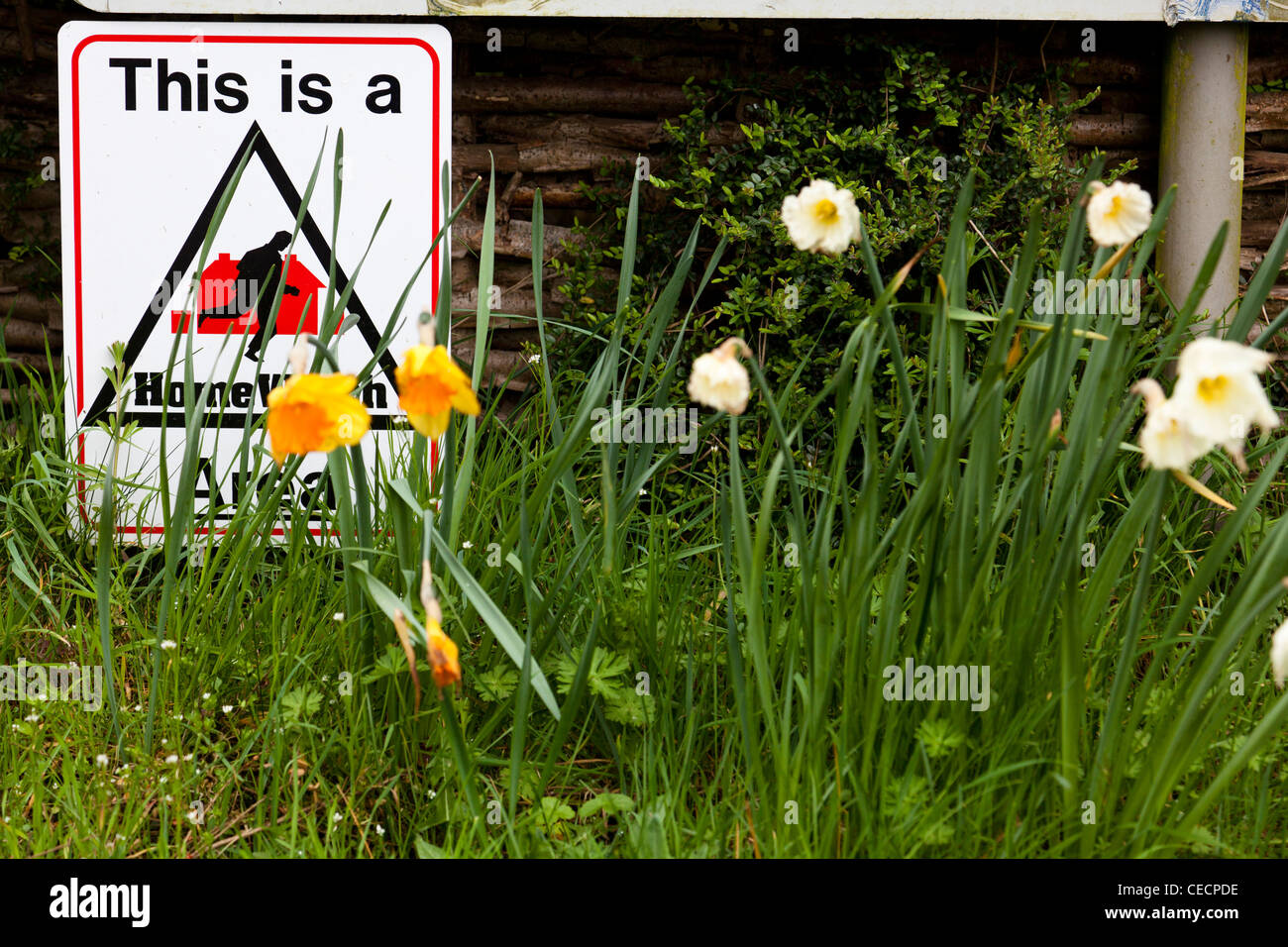 Homewatch area sign amid grass and daffodils Stock Photo - Alamy