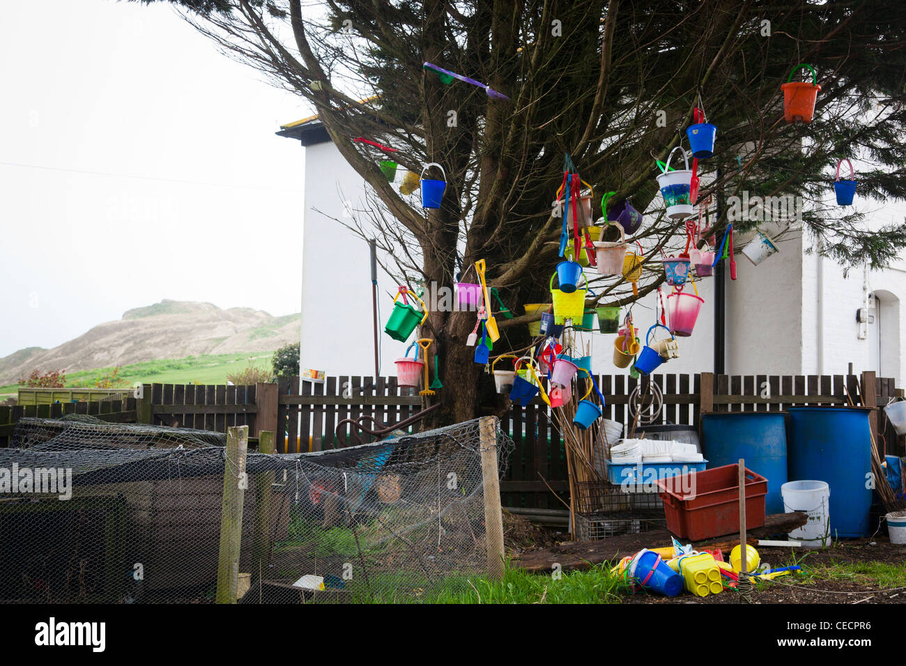 Collection of sundry buckets and spades adorn a tree next to Lulworth ...