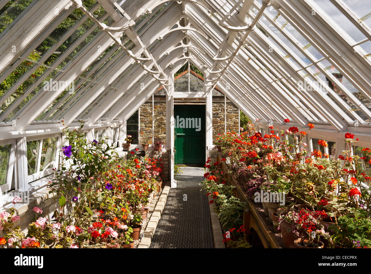 Lost gardens of heligan hi-res stock photography and images - Alamy