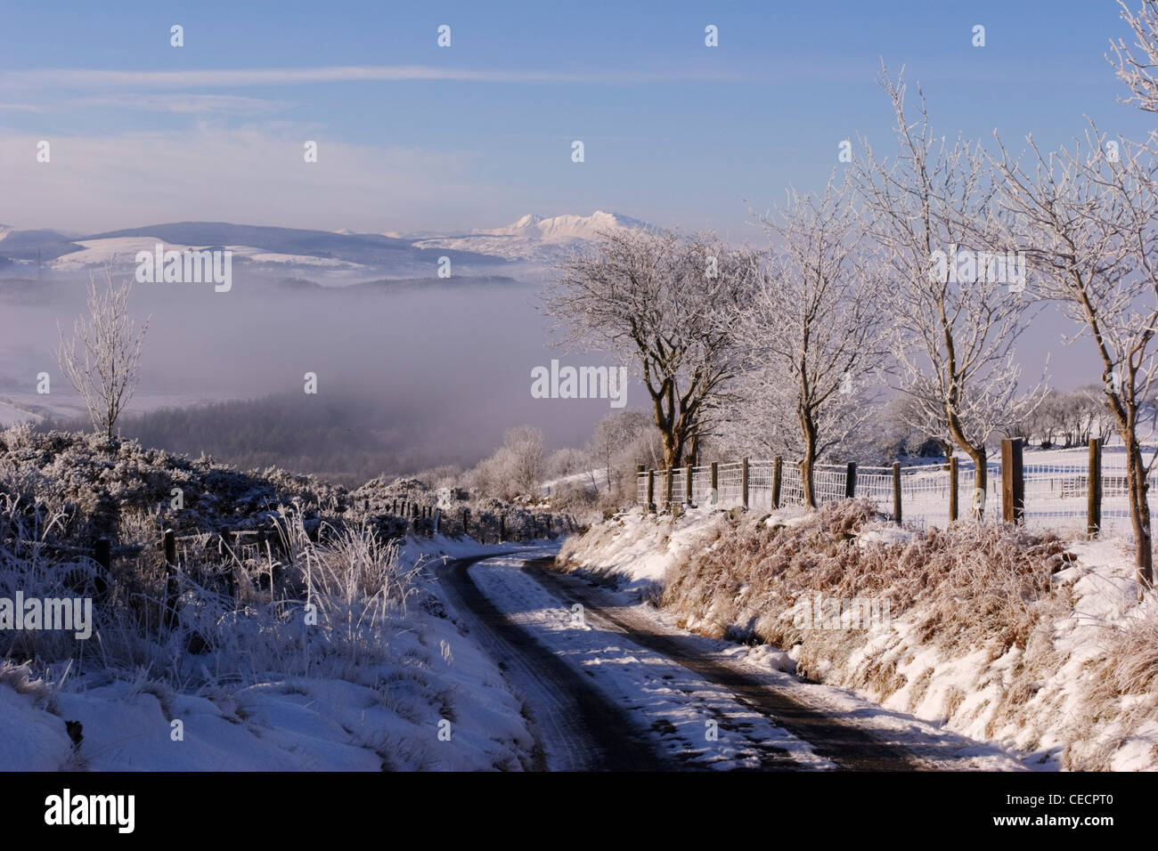 Sarnau hi-res stock photography and images - Alamy