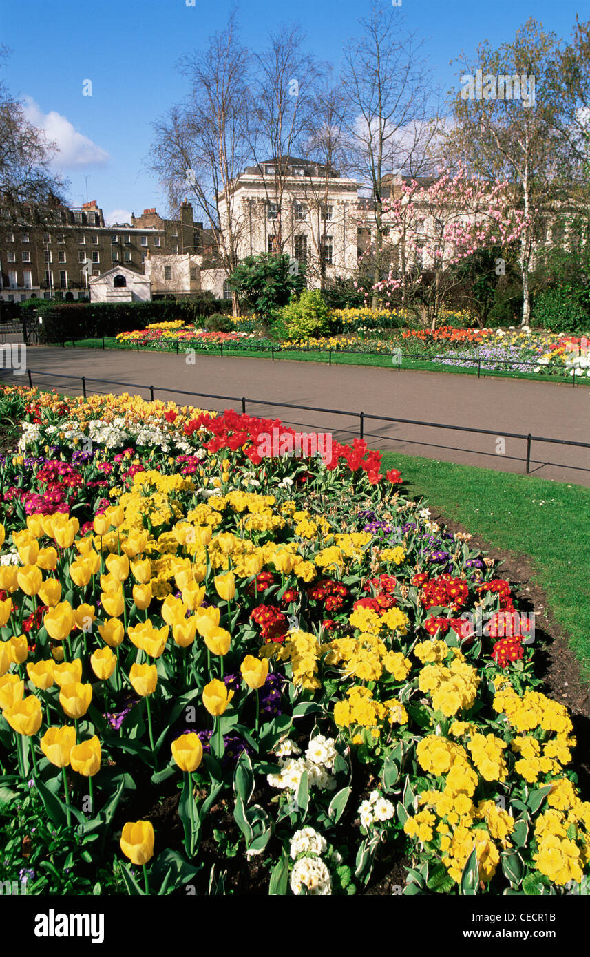 England, London, Regents Park Stock Photo - Alamy