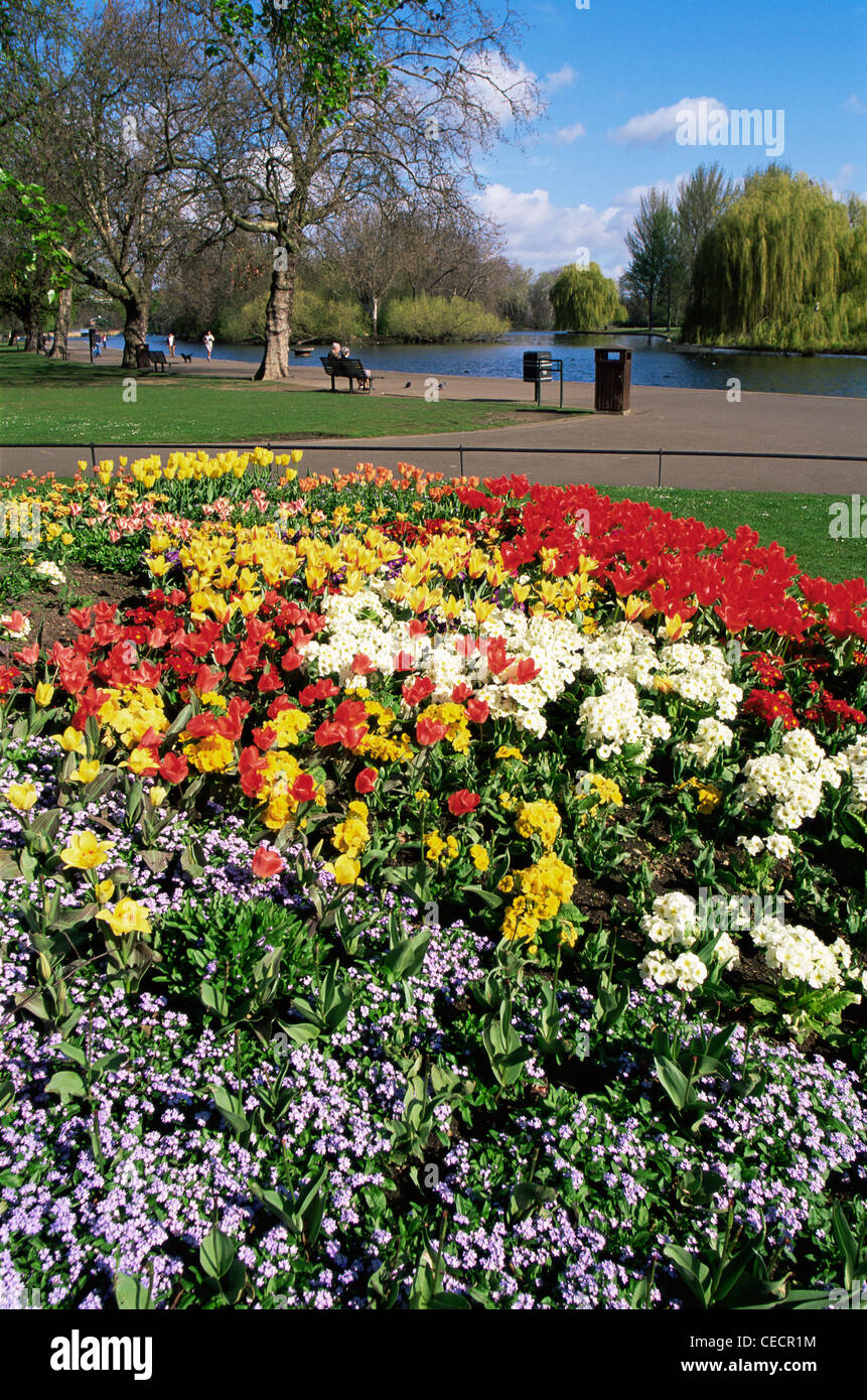 England, London, Regents Park Stock Photo - Alamy