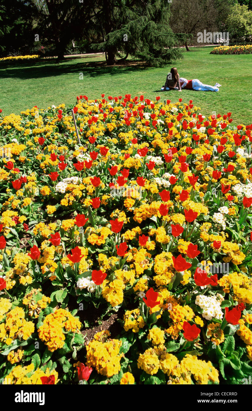 England, London, Greenwich Park, Spring Flowers Stock Photo - Alamy