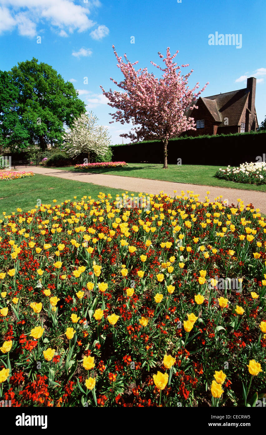 England, London, Greenwich Park, Spring Flowers Stock Photo - Alamy