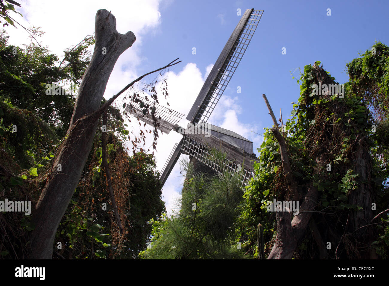 The Morgan Lewis Windmill, in Barbados, West Indies Stock Photo - Alamy